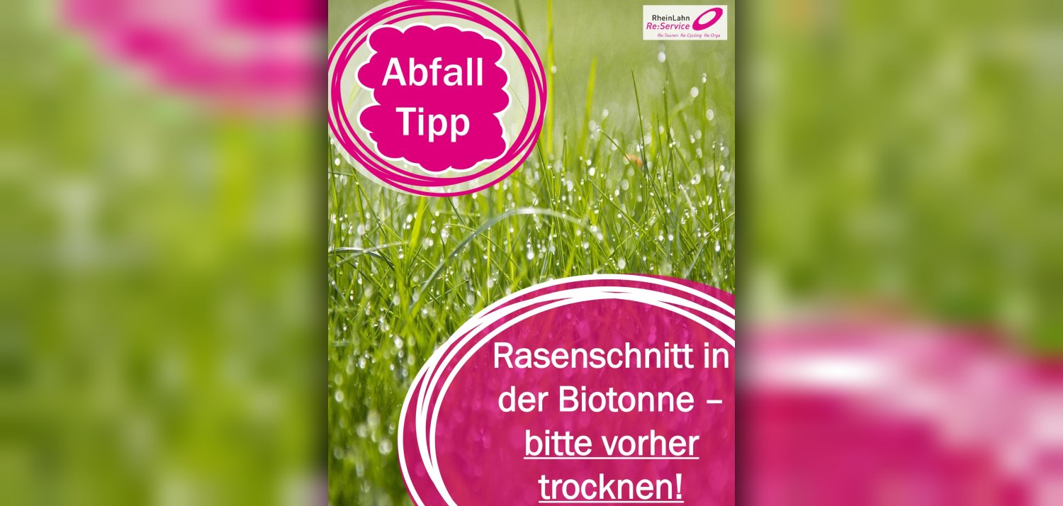 Rasenschnitt In Biotonne Brandgefahr